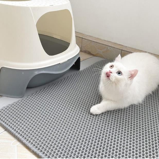 Cat Litter Mat – Poopy Cat