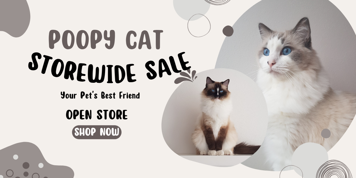 Welcome to POOPY CAT – Poopy Cat